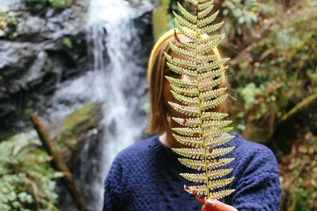 10 Reasons Why People Love Mendocino County, California - MORE TIME TO ... 10 Reasons Why People Love Mendocino County, California - MORE TIME TO ...