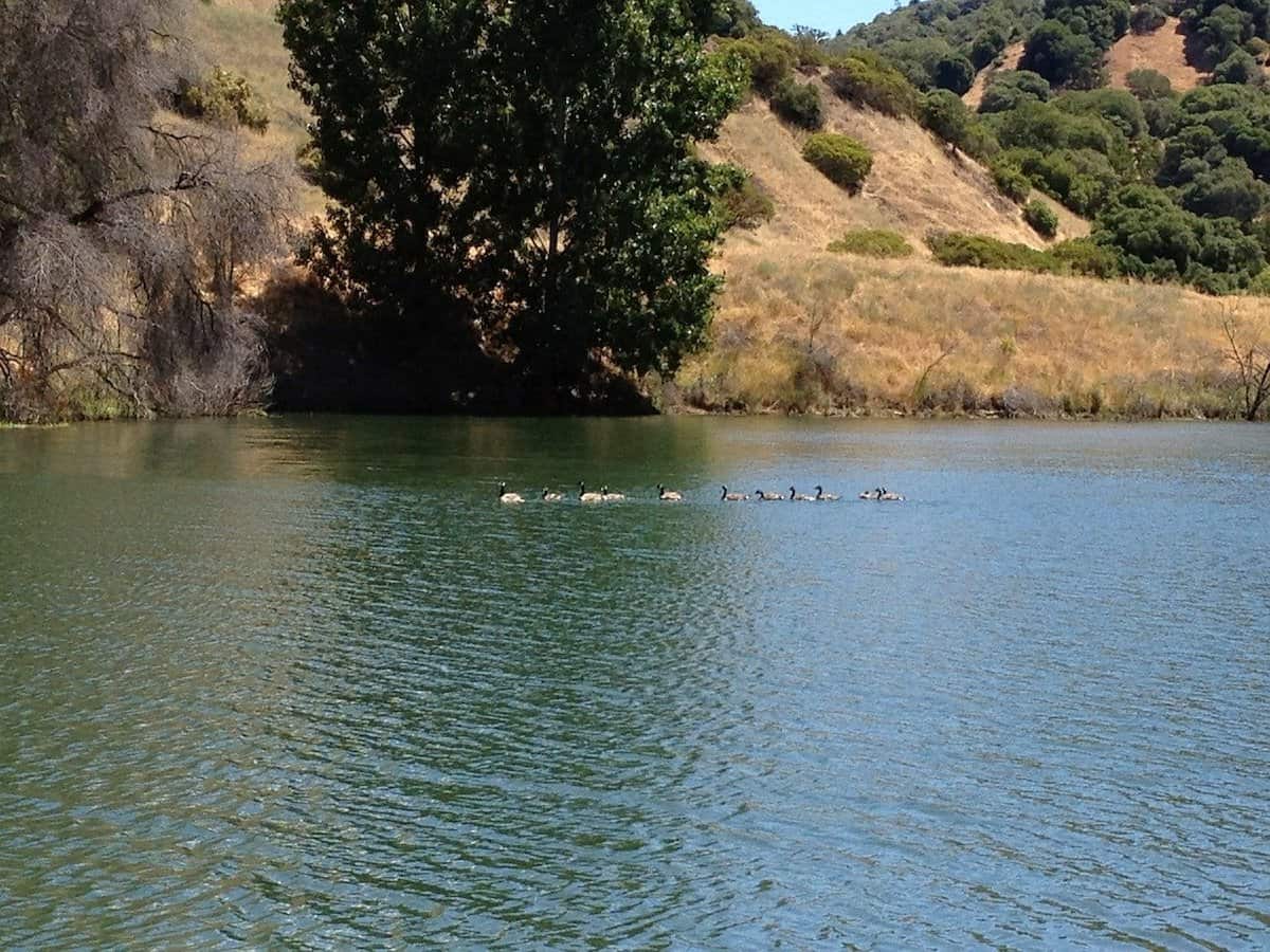 10 Reasons Why People Love Mendocino County, California - MORE TIME TO ... 10 Reasons Why People Love Mendocino County, California - MORE TIME TO ...