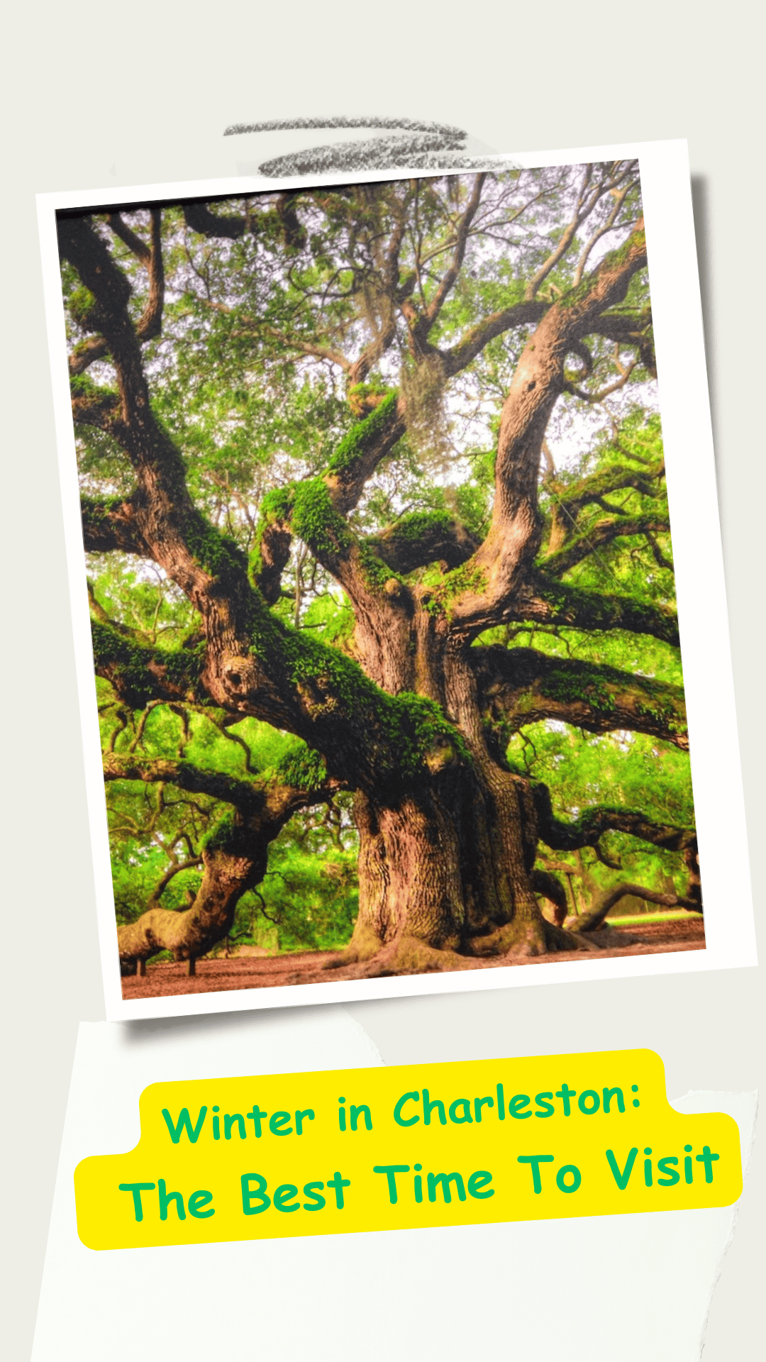 Charleston in Winter: Your Guide To The Best Time To Visit - MORE TIME ...