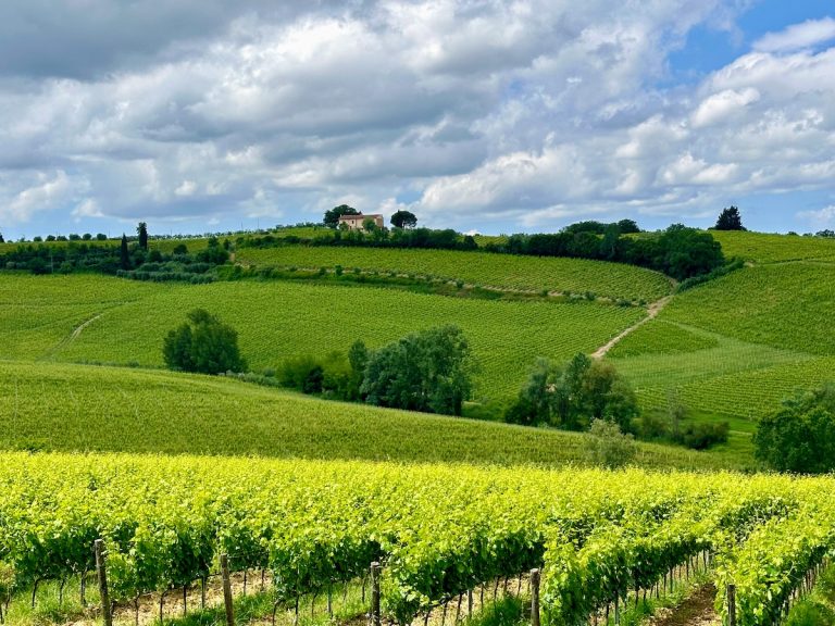 Meet The Umarell: Italy's Quirky Construction Site Watchdogs - MORE ...