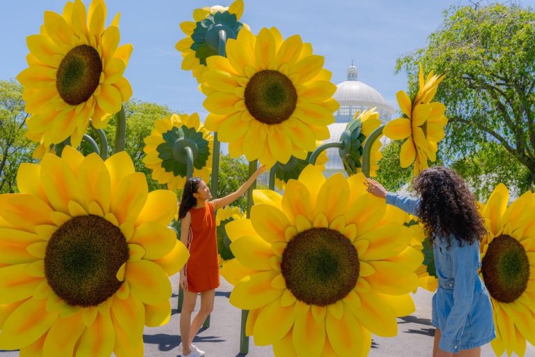 Meet The Umarell: Italy's Quirky Construction Site Watchdogs - MORE ...
