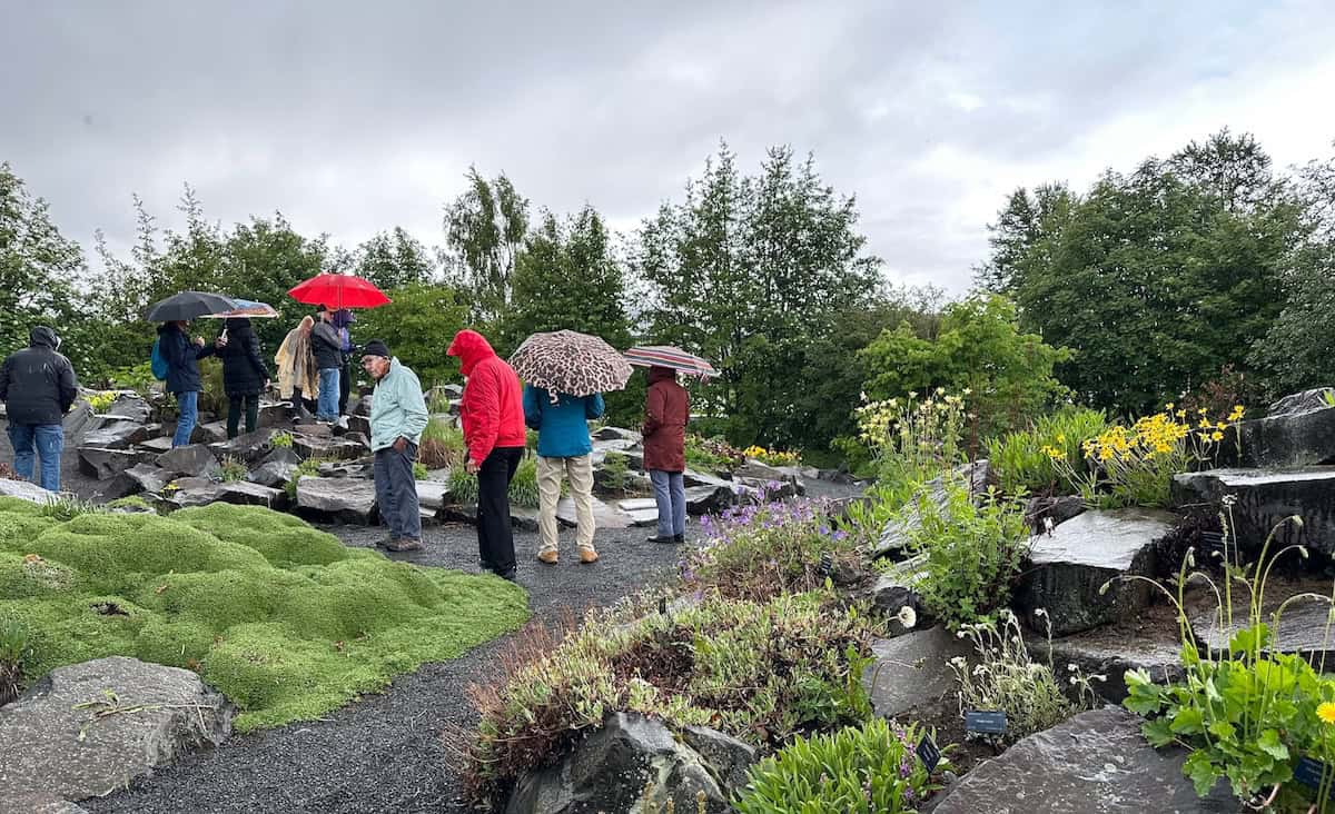 Viking Neptune Cruise Adventure: New York To Greenland And Iceland ...